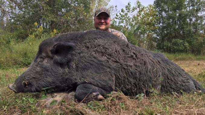 10 Huge Hogs You Have to See to Believe | Sportsman's Guide